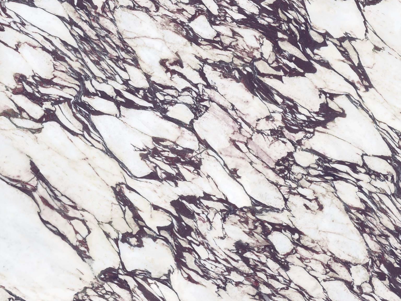 Infinity Calacatta Viola | Pizrog